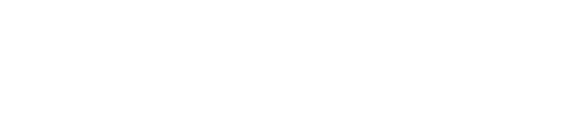 Welcome to empear-customer-portal